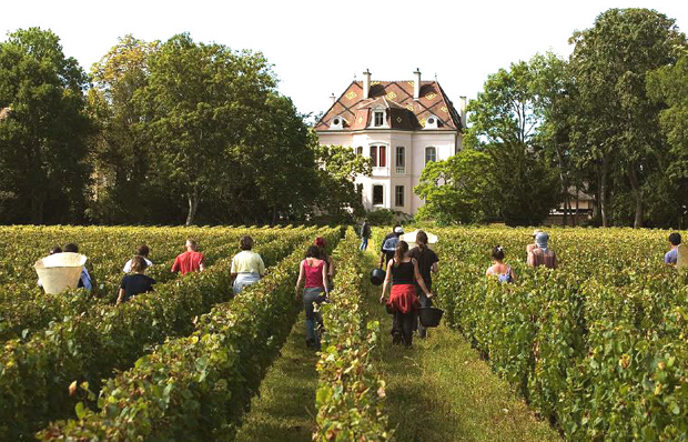 Domaine Des Comtes Lafon