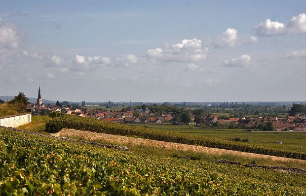 Domaine Des Comtes Lafon